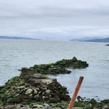 Albany Bulb, California - 342 Reviews, Map | AllTrails
