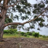 Albany Bulb, California - 342 Reviews, Map | AllTrails