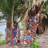 Albany Bulb, California - 342 Reviews, Map | AllTrails