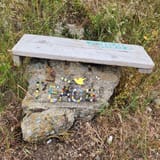 Albany Bulb, California - 342 Reviews, Map | AllTrails