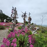 Albany Bulb, California - 393 Reviews, Map | AllTrails