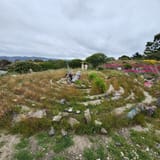 Albany Bulb, California - 393 Reviews, Map | AllTrails