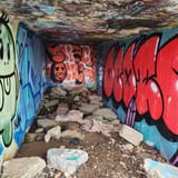 Albany Bulb, California - 393 Reviews, Map | AllTrails