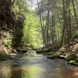 Pisgah Gorge Trail, Alabama - 302 Reviews, Map | AllTrails