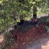 Potem Falls Trail, California - 320 Reviews, Map | AllTrails