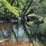 Winding River Park Trail, New Jersey - 579 Reviews, Map | AllTrails