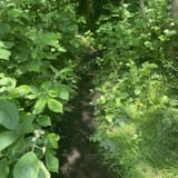 Petts Wood and Hawkwood Circular, London, England - 197 Reviews, Map ...