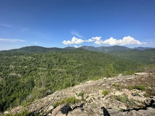 Best Wild Flowers Trails in Warfield | AllTrails