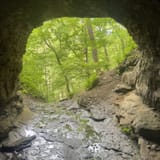 Patton Cave Loop Via Grubb Ridge, Indiana - 273 Reviews, Map | AllTrails