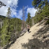 Silver Creek Trail, Colorado - 92 Reviews, Map | AllTrails