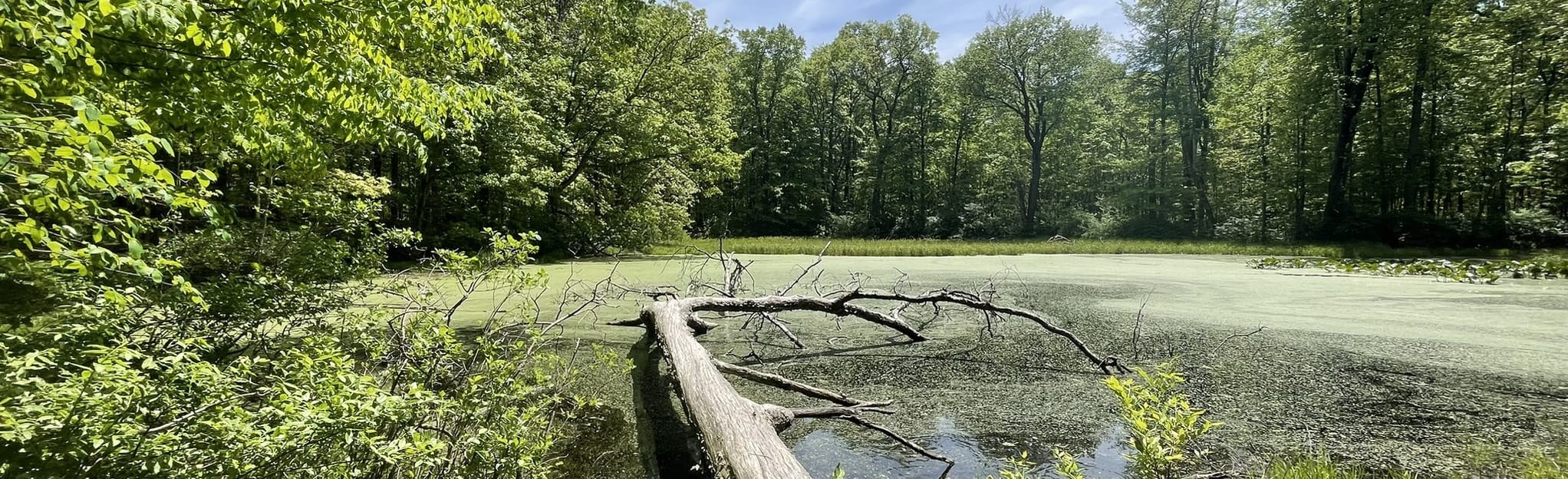 Seidman Park Blue and Red Loop Trail, Michigan - 1,747 Reviews, Map ...