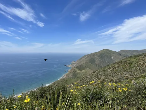 10 Best Trails and Hikes in Camarillo | AllTrails