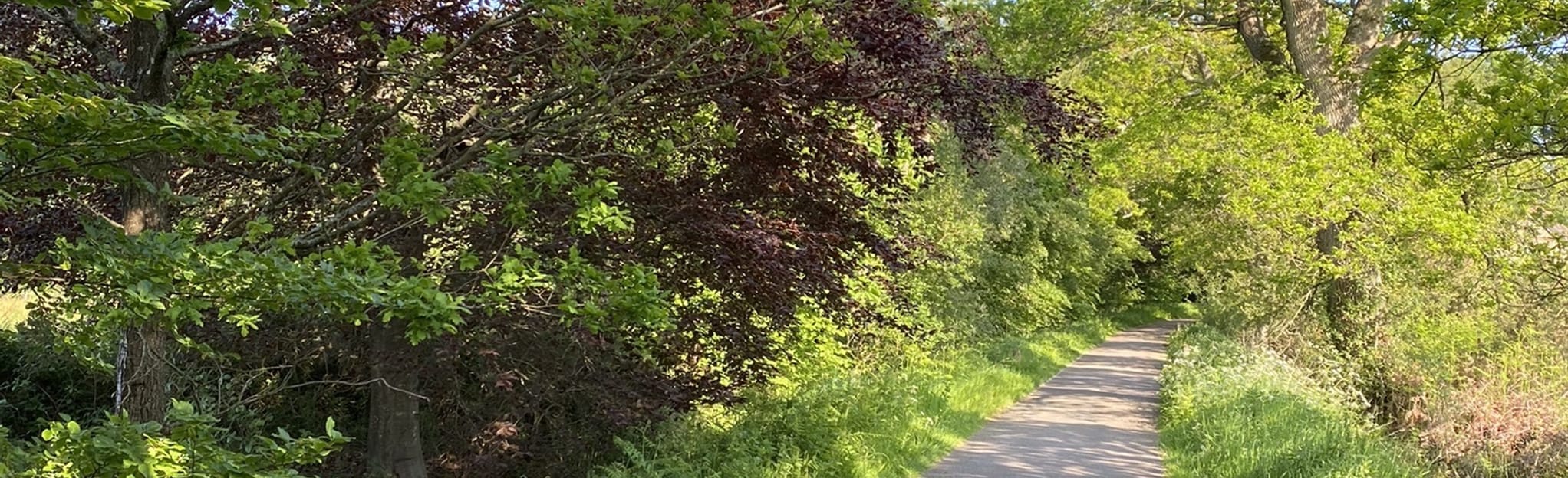 Shipwrights' Way: Liphook to Liss: 84 fotos - Hampshire, Inglaterra ...