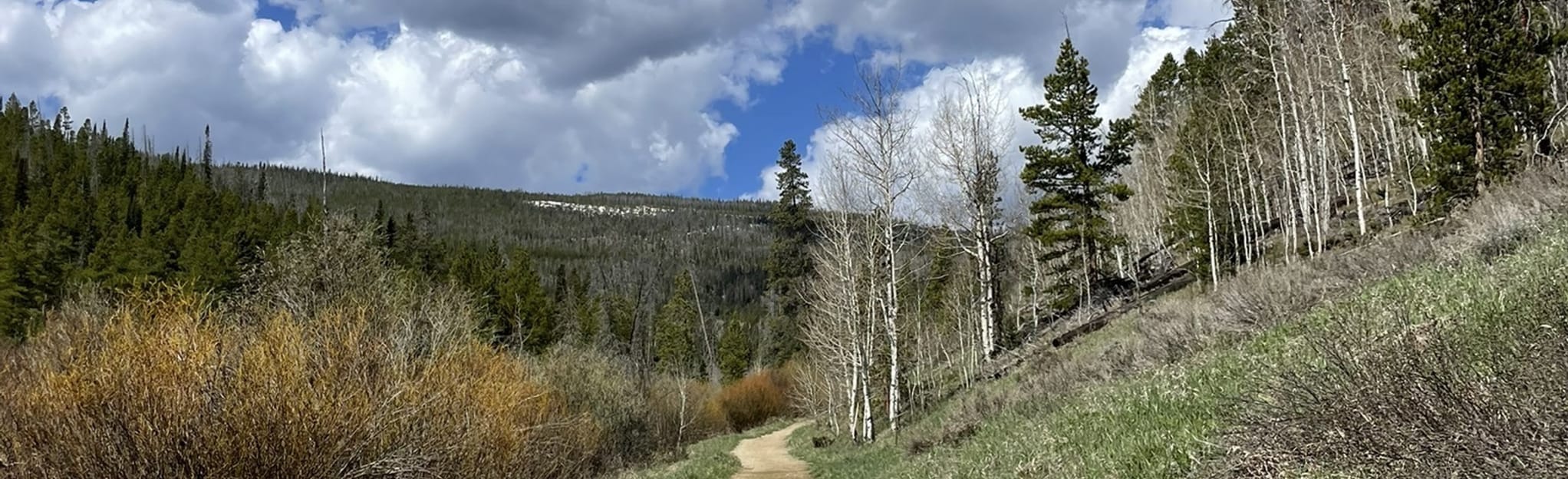 Blue Ridge Summit, Colorado - 17 Reviews, Map | AllTrails