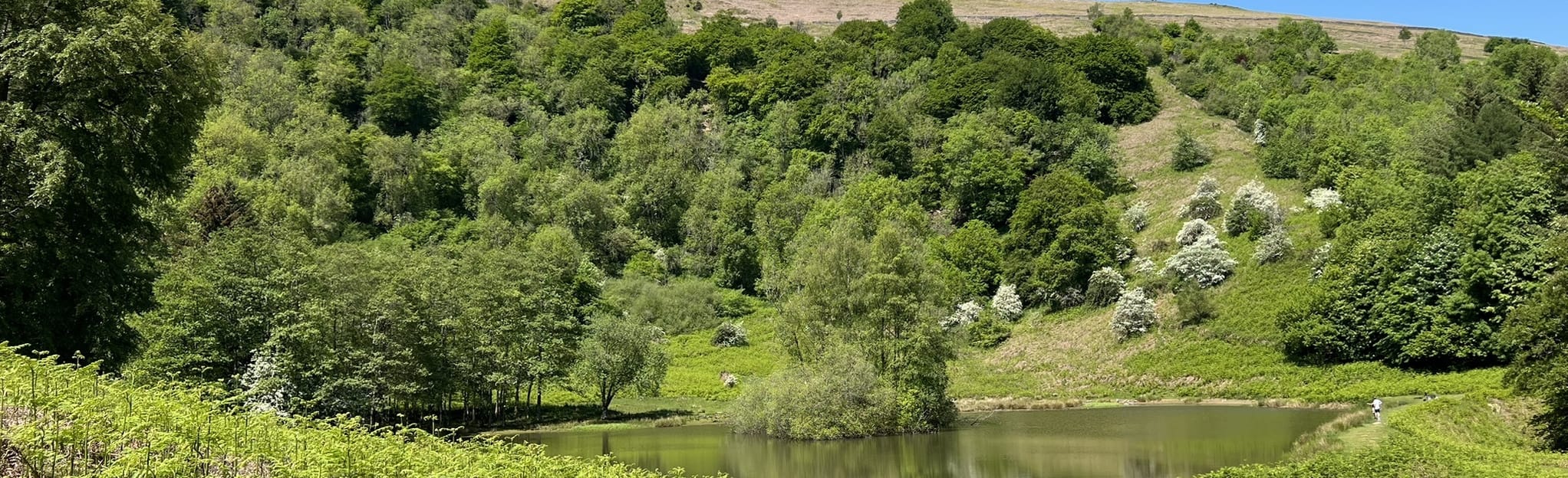 The Blorenge Circular: 361 Reviews, Map - Monmouthshire, Wales | AllTrails