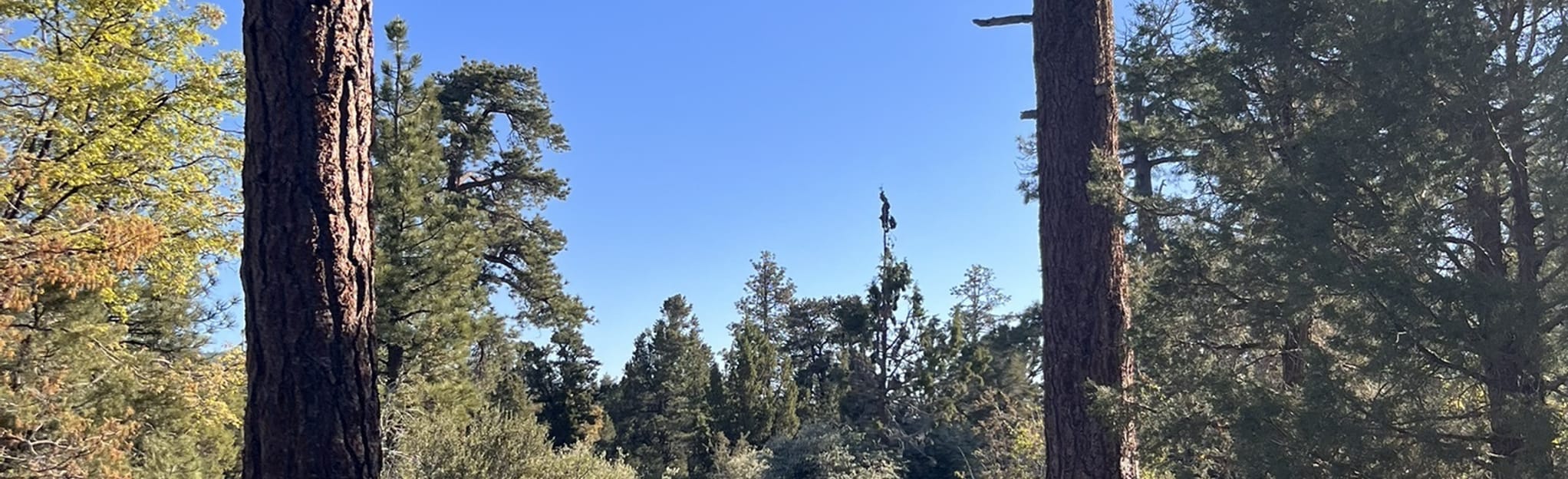 Horseshow Pebble Plain and Sawmill Drive via Nathan's Trail: 93 Reviews ...