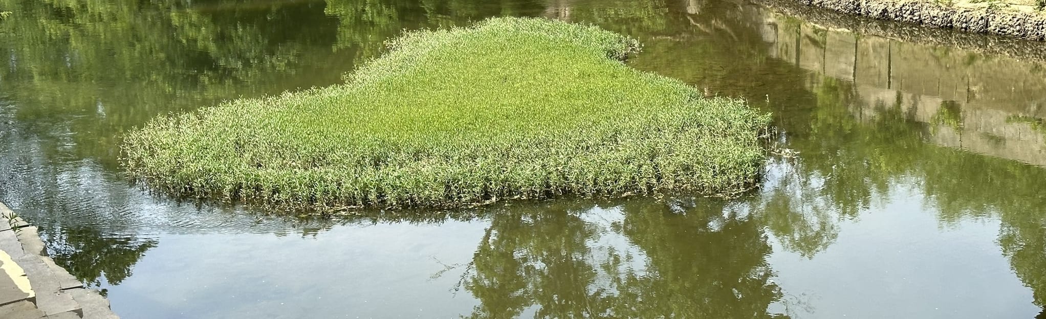 The Parklands of Floyd Fork Loop: 755 Fotos - Kentucky | AllTrails