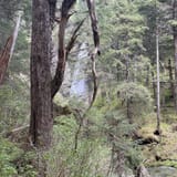 Indian River Trail, Alaska - 245 Reviews, Map | AllTrails