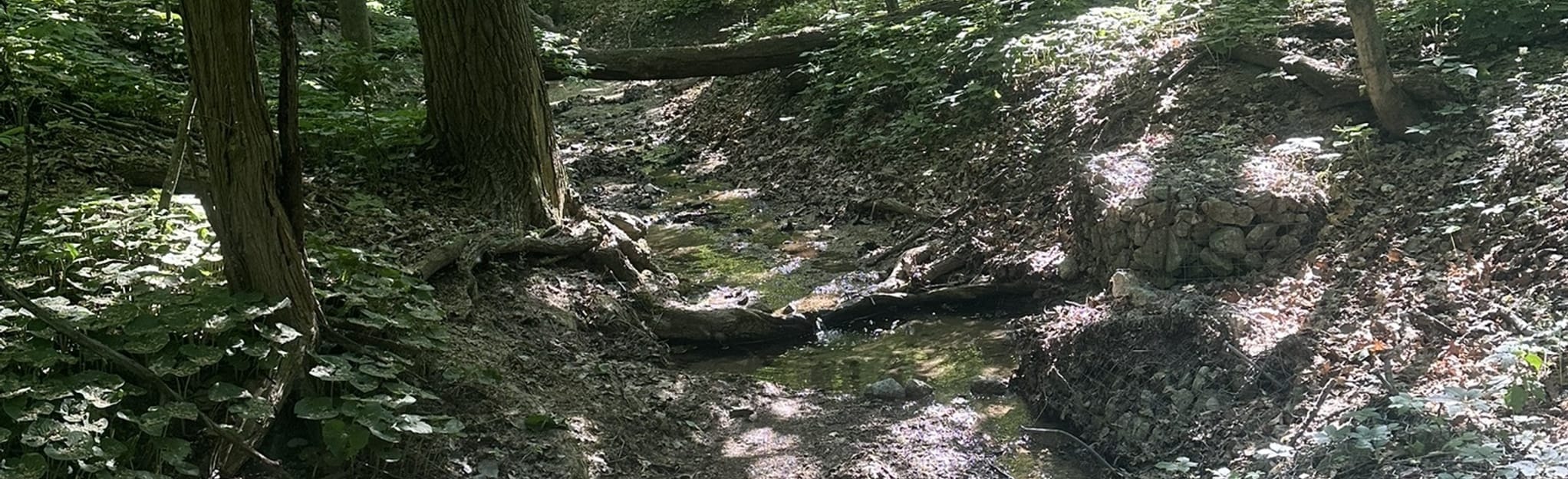 Detweiller Park Loop: 91 Reviews, Map - Illinois | AllTrails