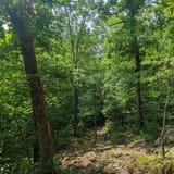 River to River Trail, Illinois - 218 Reviews, Map | AllTrails