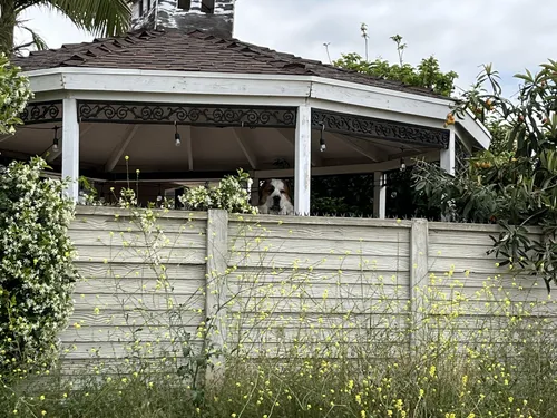 2023 Best City Walk Trails in Porter Ranch | AllTrails