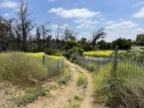 2023 Best City Walk Trails in Porter Ranch | AllTrails