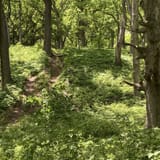 Gander Mountain Loop Trail, Illinois - 494 Reviews, Map | AllTrails
