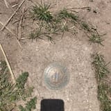 Gander Mountain Loop Trail, Illinois - 477 Reviews, Map | AllTrails