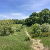 Gander Mountain Loop Trail, Illinois - 477 Reviews, Map | AllTrails