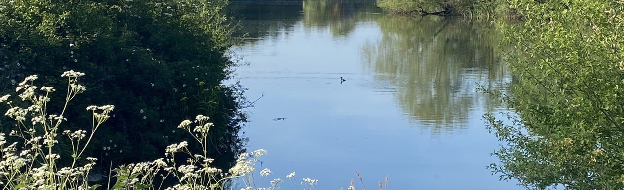 Kimberley and River Leen, Derbyshire, England - 5 Reviews, Map | AllTrails