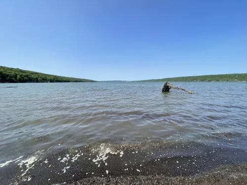 Best Hikes and Trails in Allan H. Treman State Marine Park | AllTrails