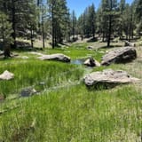 Griffith Spring Trail, Arizona - 358 Reviews, Map | AllTrails