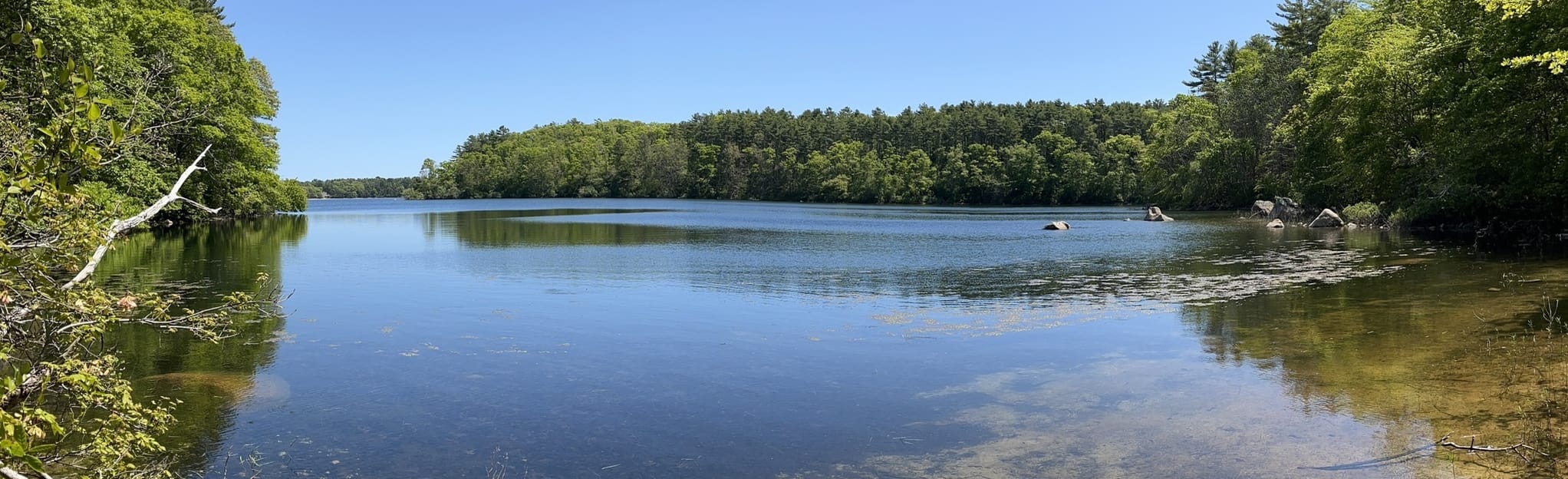 Long Pond Trail, Massachusetts - 1,236 Reviews, Map | AllTrails