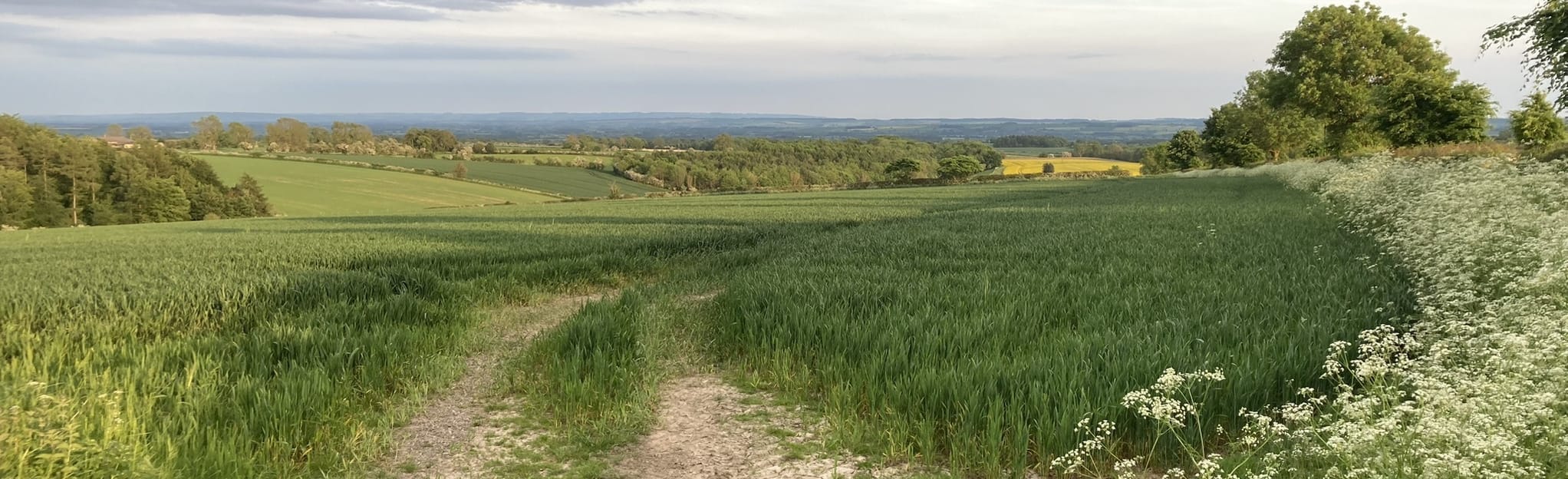 Nawton Circular, North Yorkshire, England - 3 Reviews, Map | AllTrails