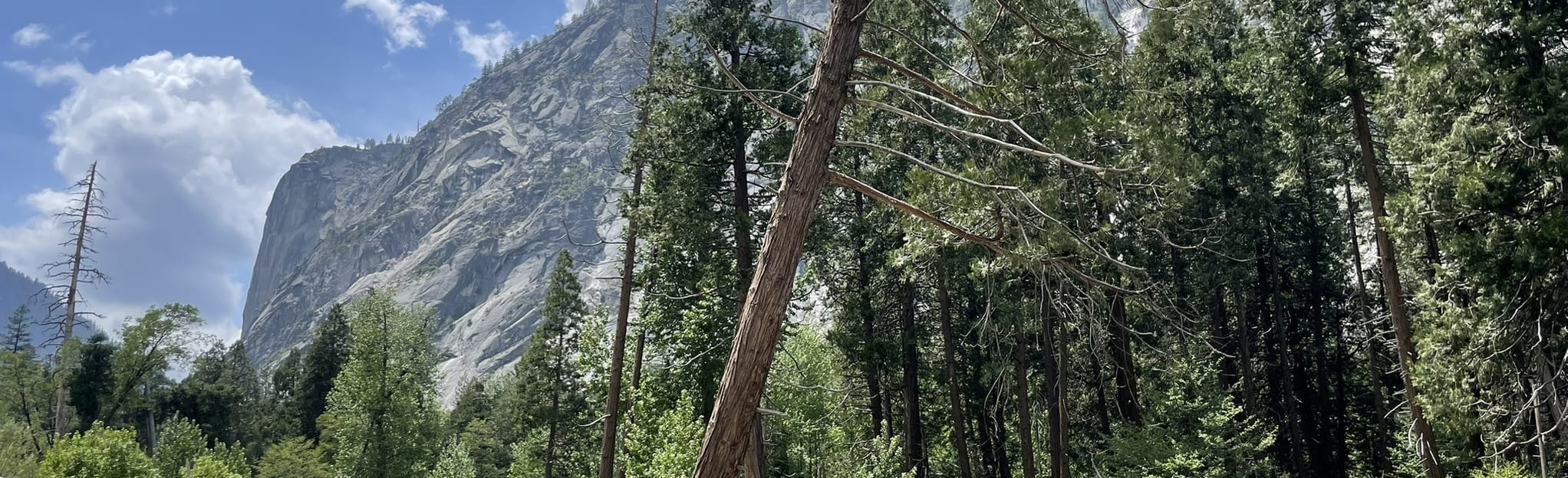 Yosemite Valley Loop Trail, California - 242 Reviews, Map | AllTrails