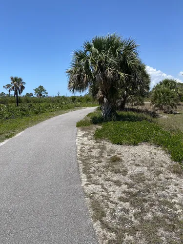 Best Hikes and Trails in Shamrock Park and Nature Center | AllTrails