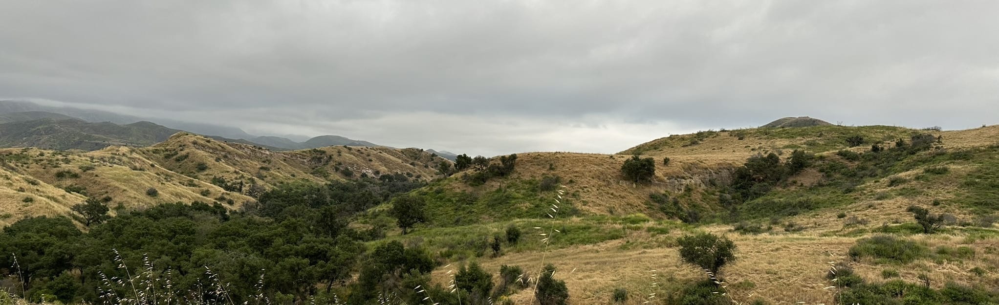 Limestone Canyon and Loma Ridge Loop: 113 Reviews, Map - California ...