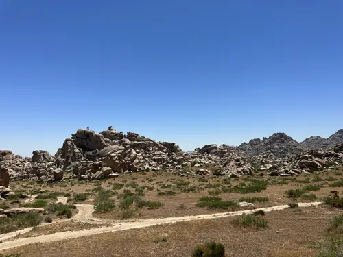 Best Hikes and Trails in Jacumba Wilderness Area | AllTrails