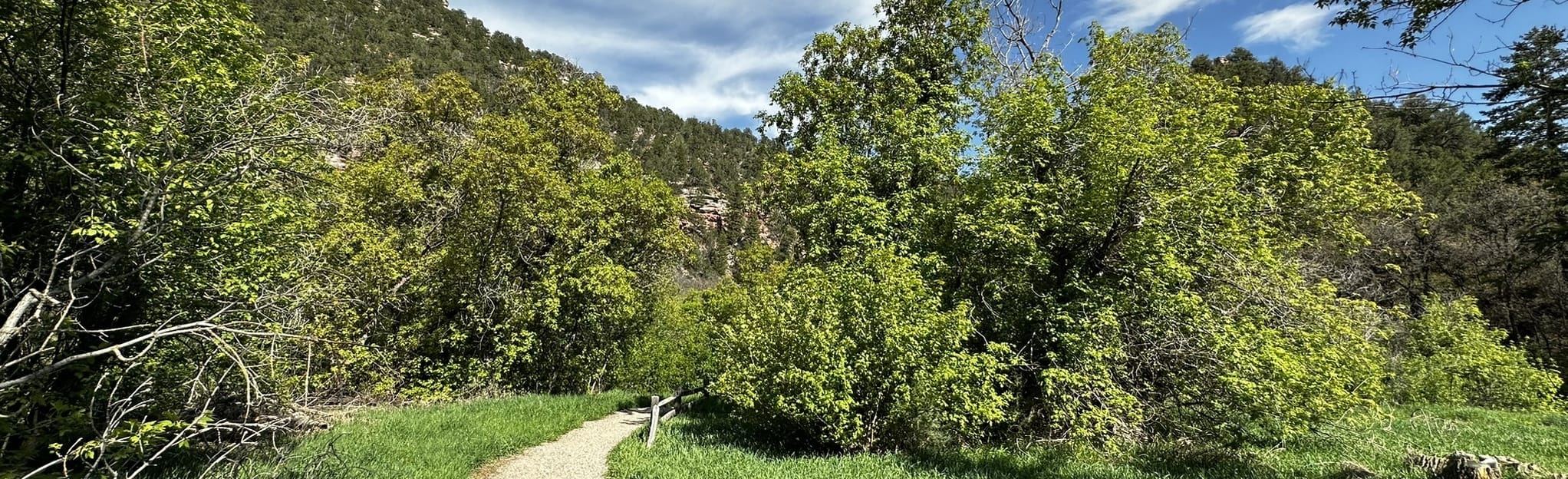 Rifle Falls Coyote to Bobcat Trails: 160 Reviews, Map - Colorado ...
