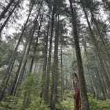 Mount June Trail, Oregon - 239 Reviews, Map | AllTrails