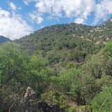 Proctor Road Nature Trail, Arizona - 326 Reviews, Map | AllTrails