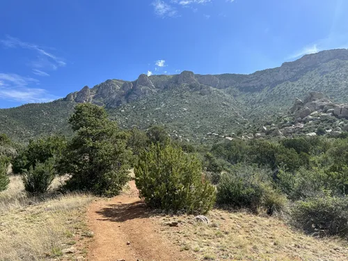 Best 10 Hikes and Trails in Sandia Mountain Wilderness | AllTrails