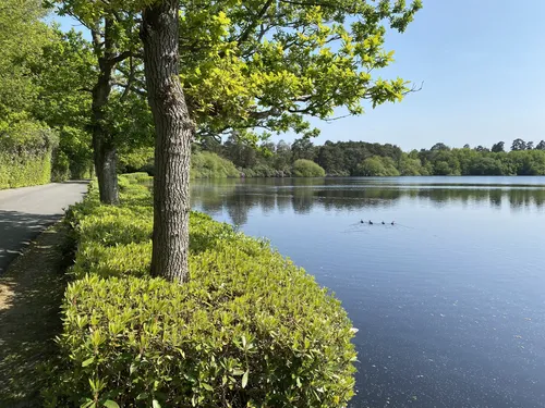 10 Best Trails, Walks, and Paths in Liphook | AllTrails