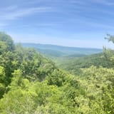 Mathews Arm Overall Run Trail, Virginia - 242 Reviews, Map | AllTrails