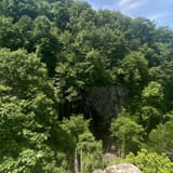 Mathews Arm Overall Run Trail, Virginia - 242 Reviews, Map | AllTrails