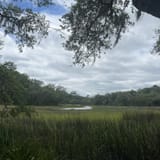 Guana Trail, Marshview Lane, and Shellbluff Road, Florida - 268 Reviews ...