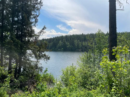 Best Camping Trails in Lumby | AllTrails