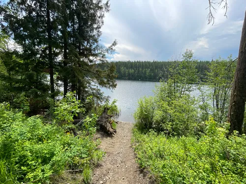 Best Lake Trails in Lumby | AllTrails