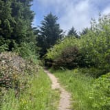 House Rock Viewpoint - Cape Ferrelo Trail, Oregon - 175 Reviews, Map ...