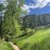 Sunshine Canyon Trail, Colorado - 636 Reviews, Map | AllTrails